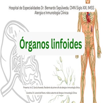 organos linfoides - inmunologia basica y clinica | PDF