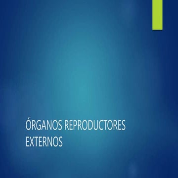 organos reproductores internos femeninos.pptx