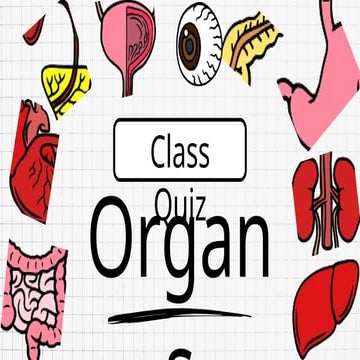 Organs Human Body Quiz Presentation in a Bold Style.pptx