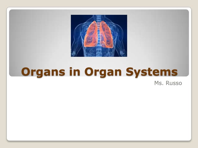 ORGAN SYSTEM.pptx