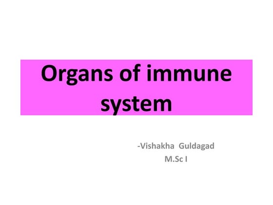 Overview of cells and organ of immune system | PPT