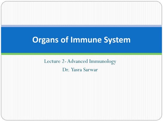 Primary and secondary lymphoid organs | PPT