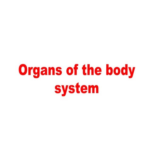 Organs of the body system | PPT