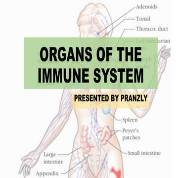 ORGANS OF THE IMMUNE SYSTEM by pranzly.ppt