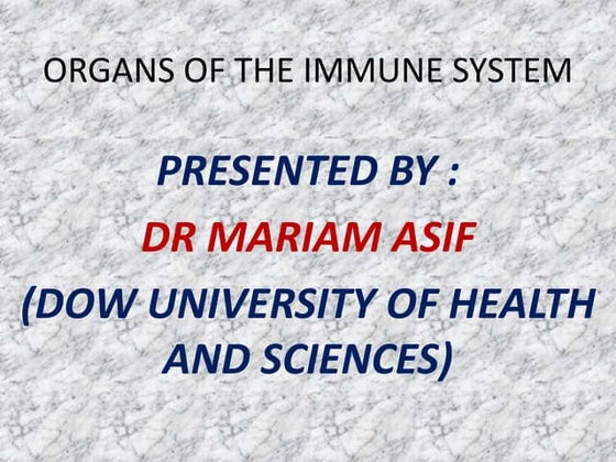 Cells of the immune system | PPT