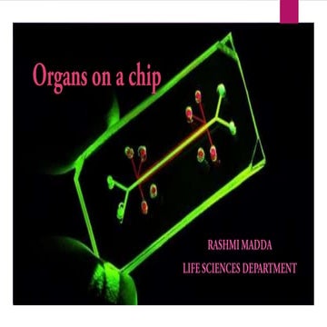Organs on a chip | PPTX