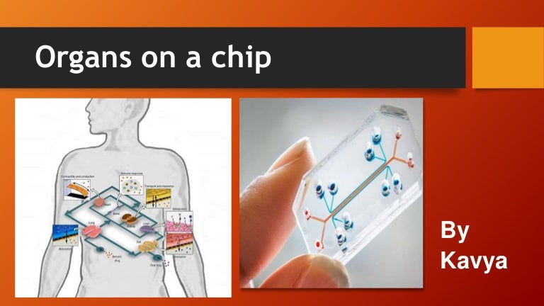 Organs on chip ppt