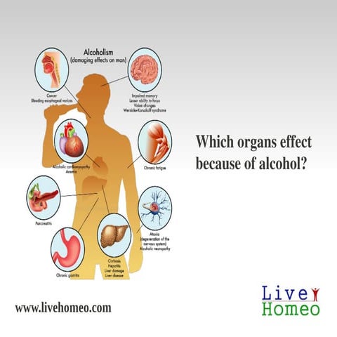 Organs will effect by drinking alcohol | PPT