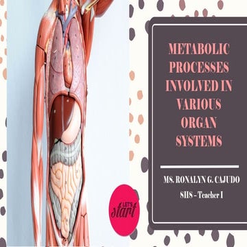 Organ System.pptx powerpoint presentation | PPTX