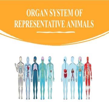 Earth and Life Science_Organ System of Animals.pptx