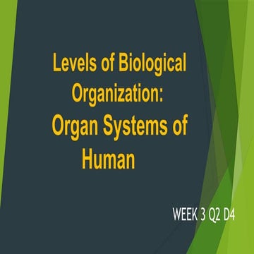 organ system of human GRADE 7 SCIENCE.pptx