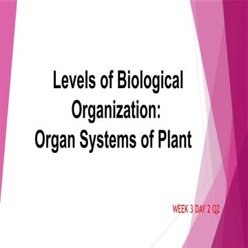 organ system of plants SCIENCE 7 .pptx
