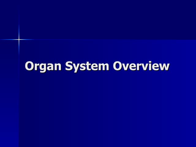 Copy of The Human Organ System At Work.pdf