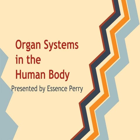 Organ systems in the Human Body | PDF