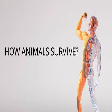 Organ systems in Representative Animals .pptx