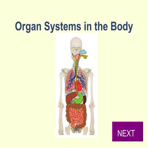 Organ Systems in the Body | PPT
