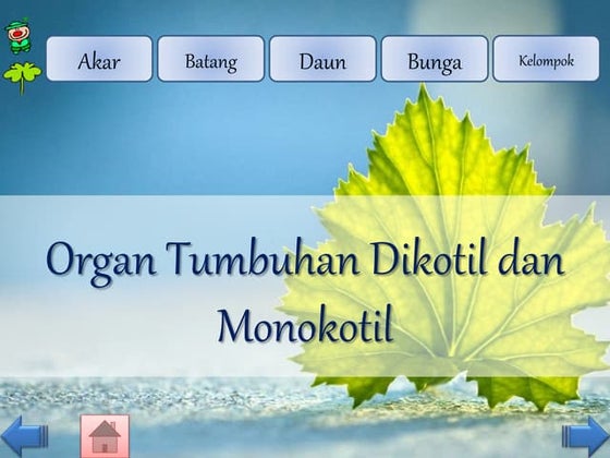 Klasifikasi dan morfologi tanaman talas | DOCX