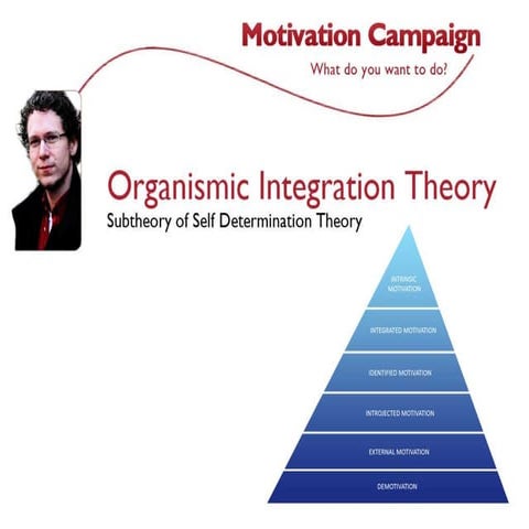 Organismic Integration Theory Beyond Intrinsic Motivation: Why