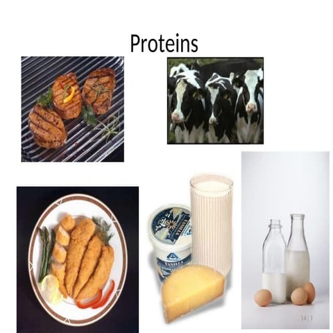 OrgChem Proteins.ppt individual assigment work | PPT
