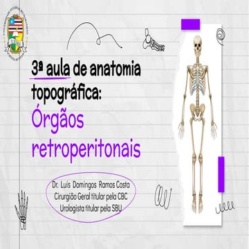 Ultrassom do Retroperitônio e Peritônio | PPTX