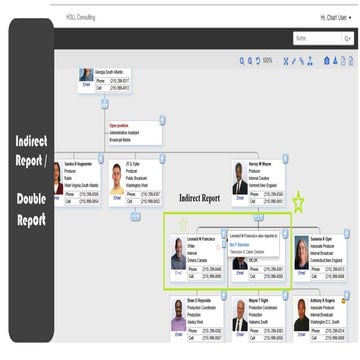OrgPublisher HOLL Consulting-double report-dotted line-indirect report ...