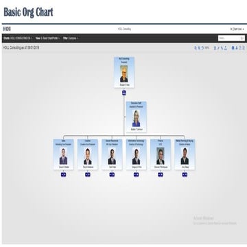 OrgPublisher HOLL Consulting-SAP Success Factor-Oracle-PeopleSoft ...