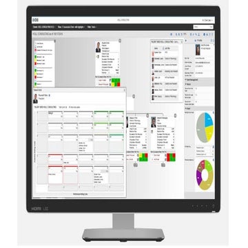 OrgPublisher HOLL Consulting-sap success factor-oracle-peoplesoft ...