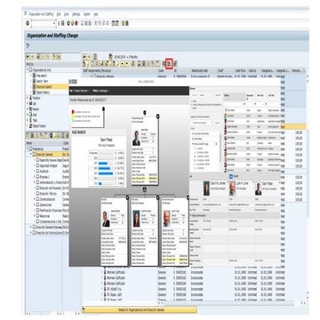OrgPublisher HOLL Consulting SAP OPSAP connector PPOME-1 | PDF