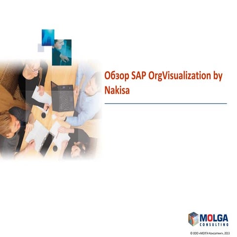 Обзор SAP OrgVisualization by Nakisa | PPT