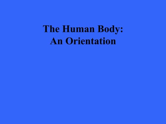 Introduction to Anatomy and Organization of human body | PPTX ...