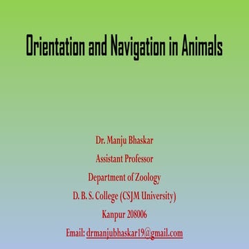 Orientation and Navigation in Animals.pptx