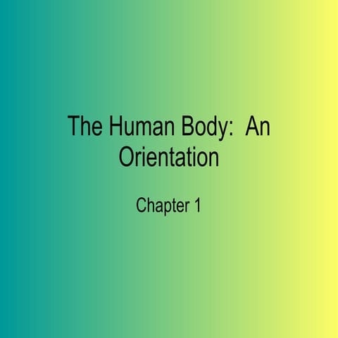 Orientation Of Human Body | PPT