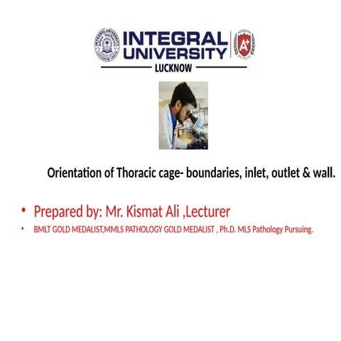 Inlets and outlets of thorax anatomy presentation | PPTX