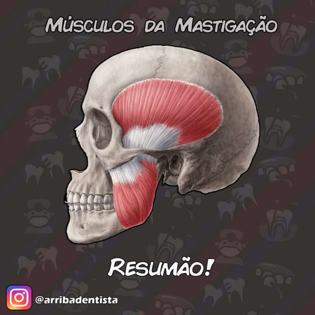 Arco Tipo I e Tipo II de Baume - Resumo Concurso Público de Odontologia.pdf