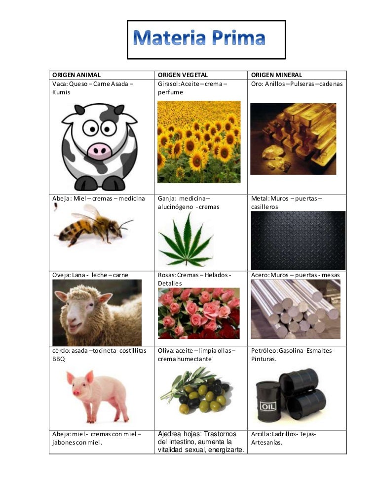 Origen animal