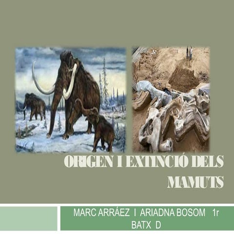 Origen i extinció dels mamuts | PPT