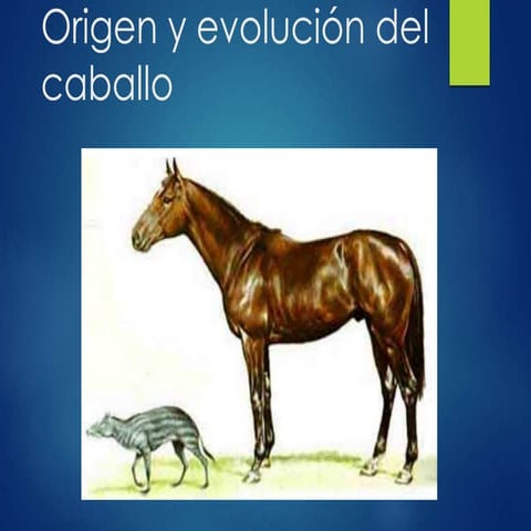 Origen y evolución del caballo | PPTX