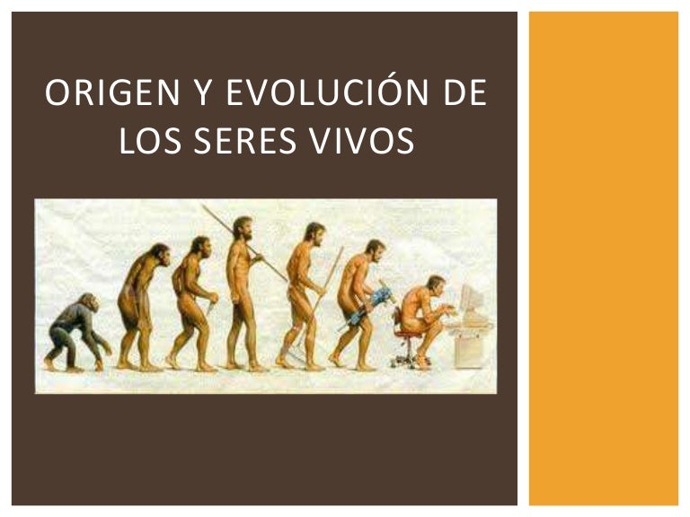 Origen Y Evolucion De Los Seres Vivos Dudas La Seleccion Natural Que Images Origen Y Evolucion De Los Seres Vivos Dudas La Seleccion Natural Que Images