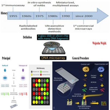 MicroArray technology; history, Types and principle | PPTX | Genetics ...