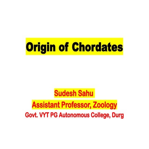 Origin And Evolution of Chordates In Detail | PPTX