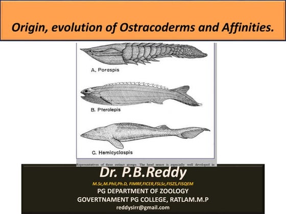 Dentition in Mammals | PPTX