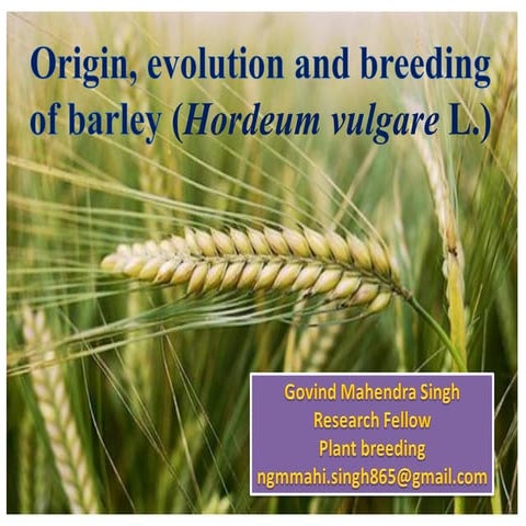 Origin, evolution and breeding of barley by gm singh 2021 | PDF