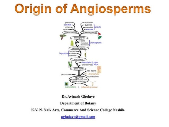 Origin and evolution of angiosperms | PPTX