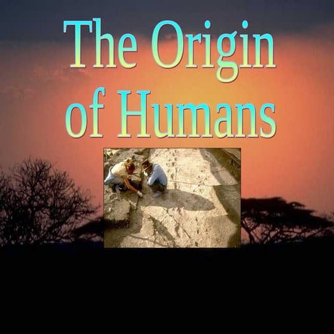 Origin ofhumans | PPT