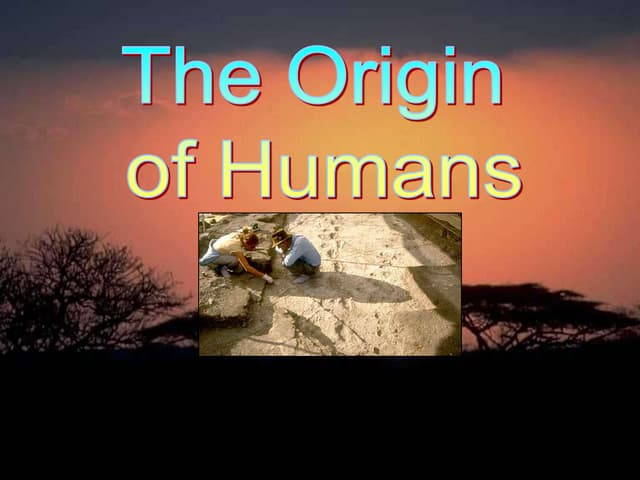 Origin of humans | PPT
