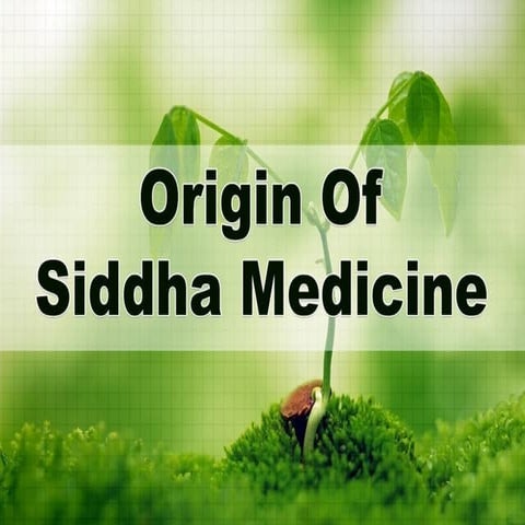 Origin of siddha medicine basic of siddha | PPTX