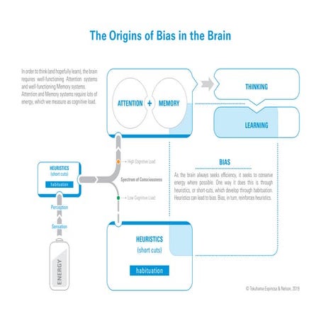 Origins of bias in the brain - Tokuhama-Espinosa & Nelson, 2019 | PPT