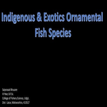 Ornamental Fish Species Presentation | PPTX
