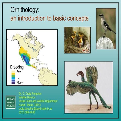 Ornithology-Basic-Concepts.pdf.......... | PDF