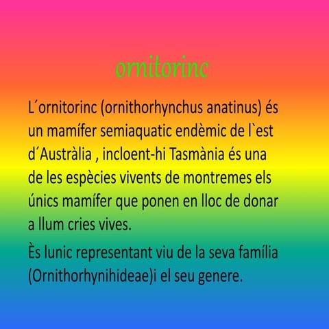 Ornitorinc | PPT